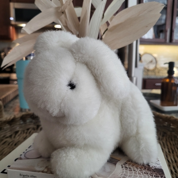 Playful Pals | Toys | Playful Pals Plush Rabbit | Poshmark